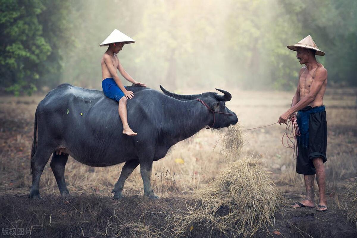 Worst education ever: Boys never grow up without their fathers involved ...