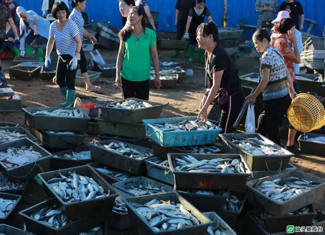 The fishing boat is back with your favorite raw seafood!The first batch ...