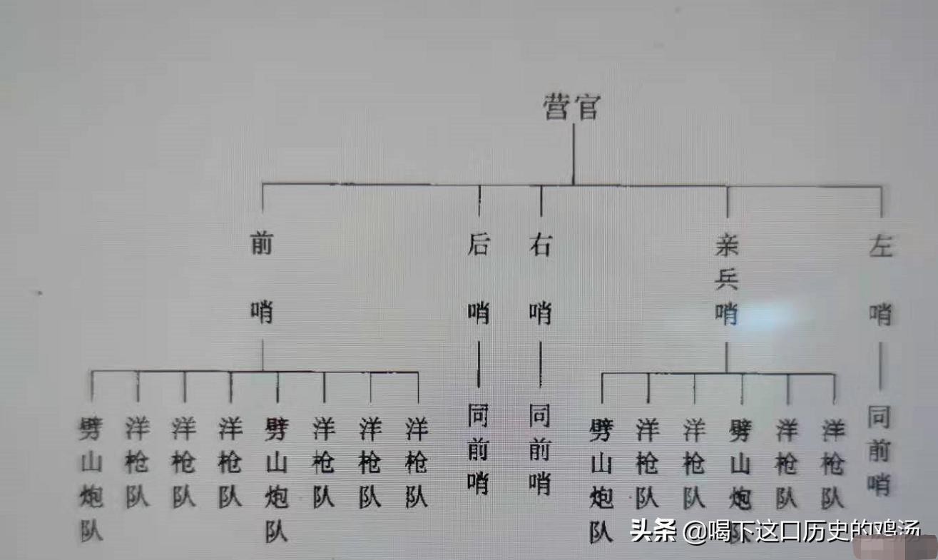 Why was Ding Ruchang, the general of the Taiping Heavenly Kingdom ...