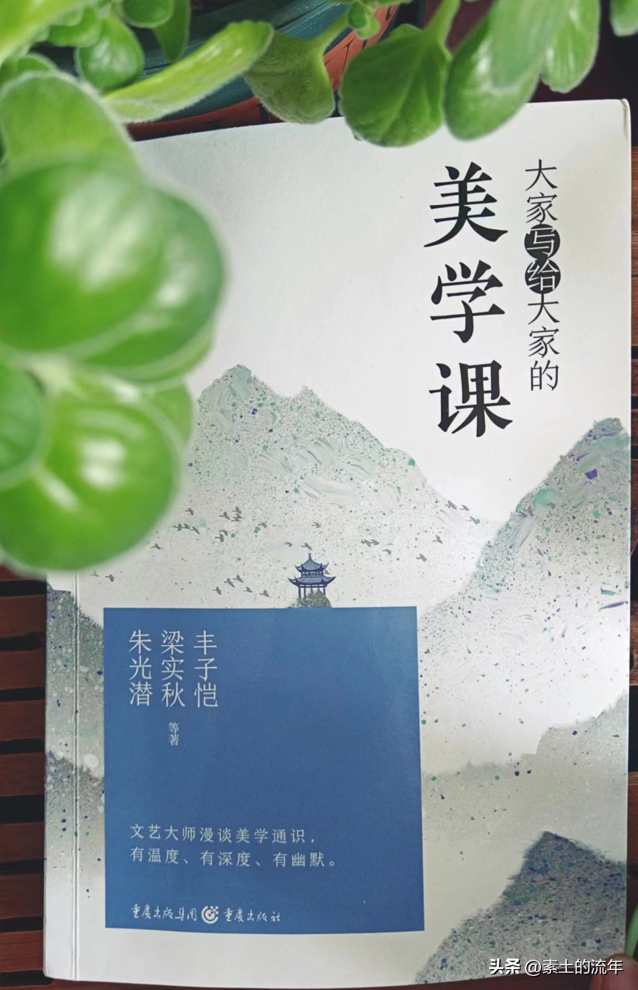 "Aesthetics Lessons Written by Everyone": What is beauty? What exactly ...