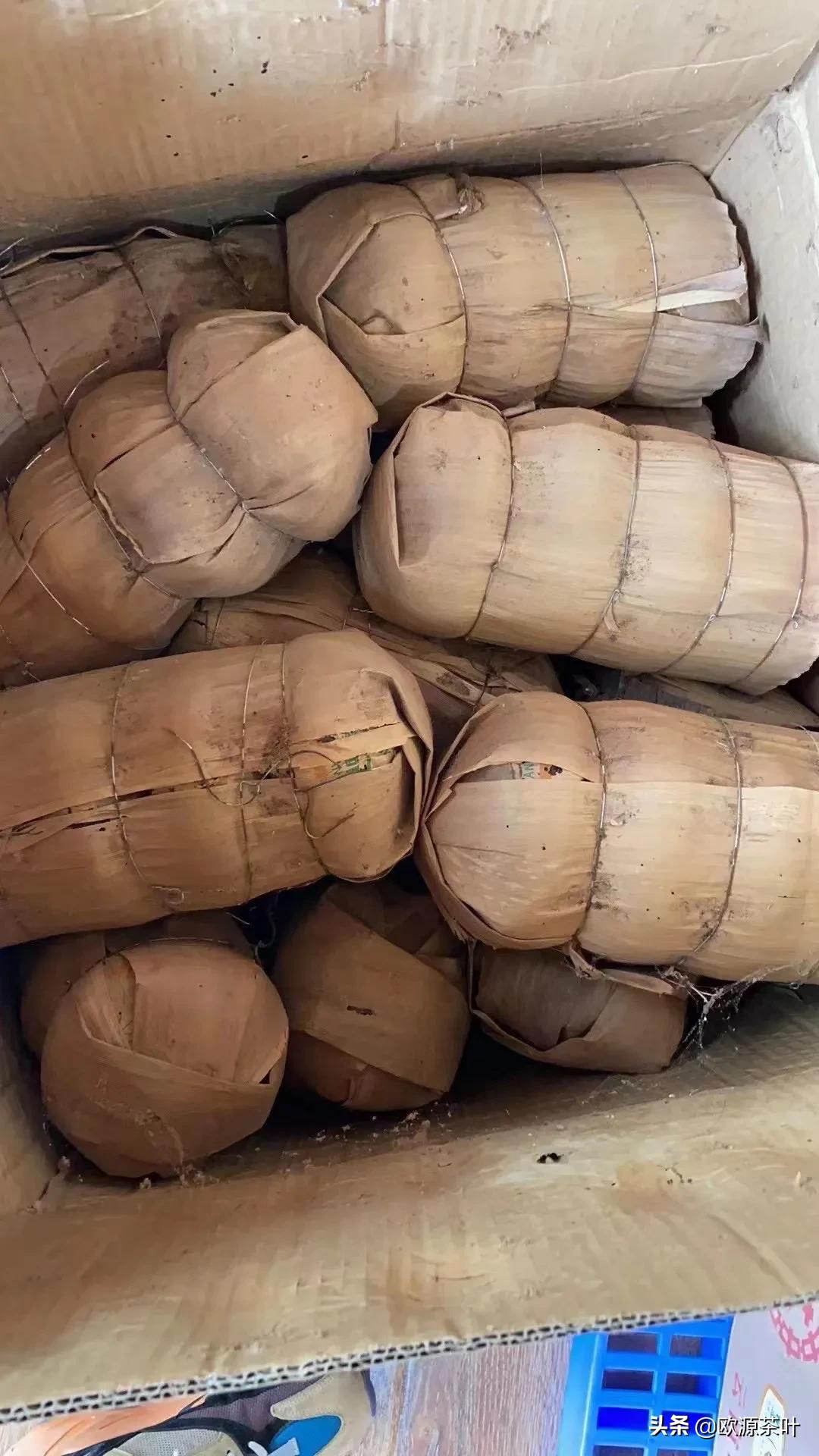 2006 Pengcheng Tea - iNEWS