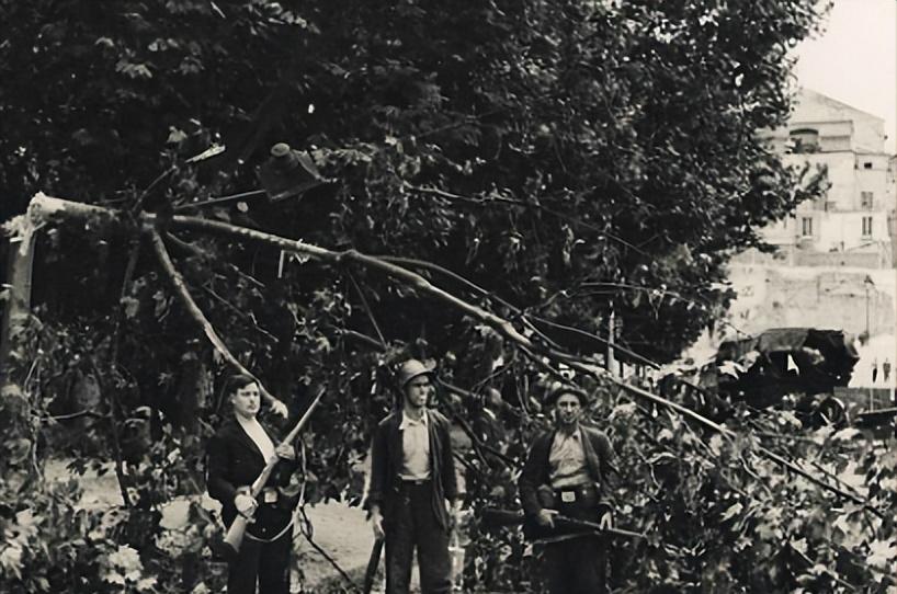 What were the reasons and effects of Ireland's neutrality during World ...