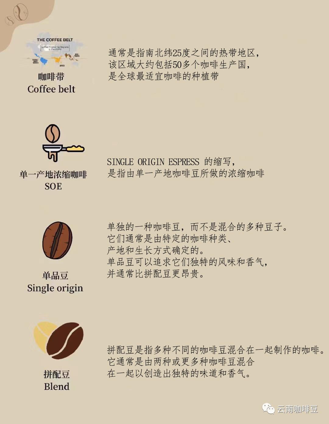 15 Common Coffee Terms - iMedia