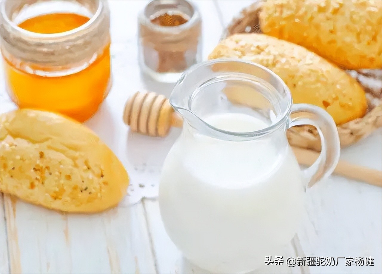 A traditional and magical milk treasure - camel milk! - iMedia