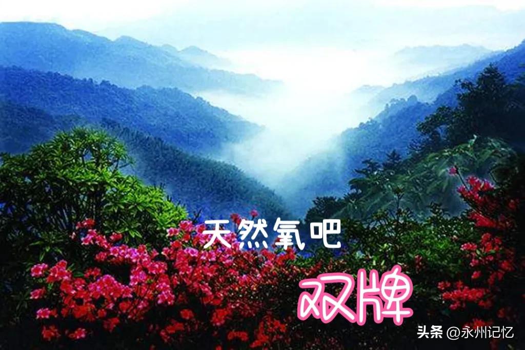 The origin of the name of the double brand, the ins and outs of the ...