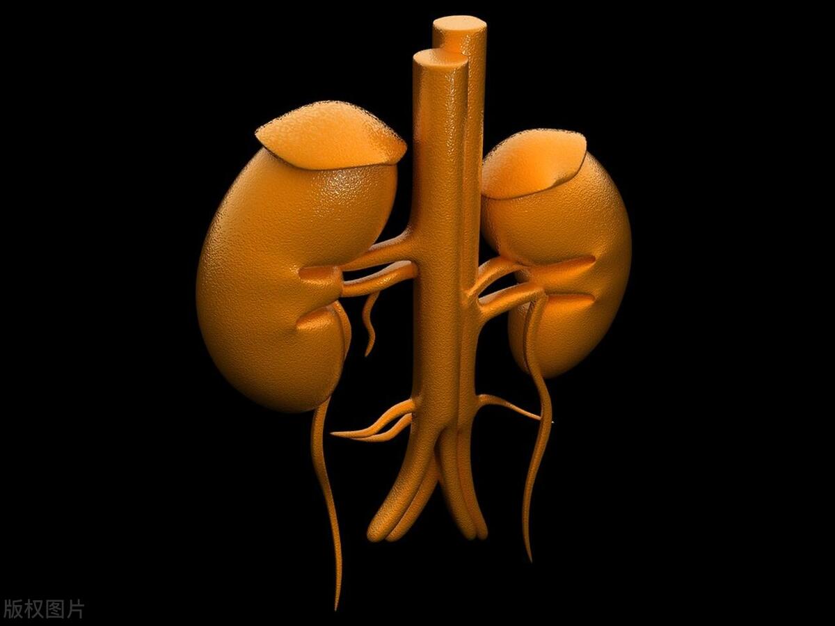 If you have the following 6 situations, it means that your kidney ...