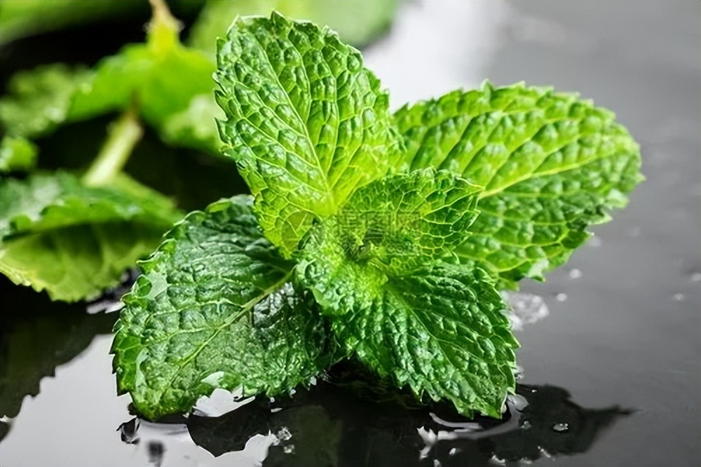 The ace traditional Chinese medicine blindly treating aphthous ...