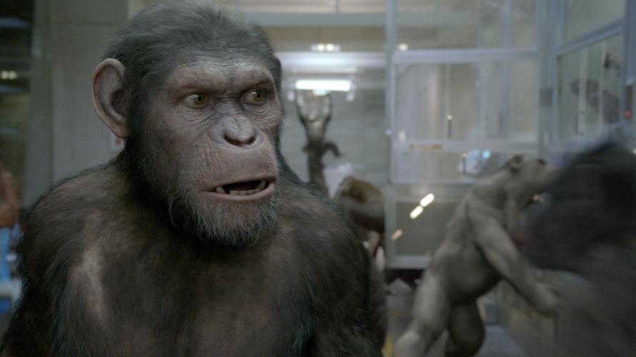 The movie "Rise of the Planet of the Apes" series, vividly display and ...