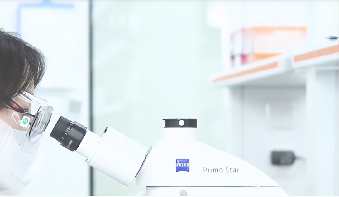 "Optimist" plans to release the Optimist desktop robot in the near ...