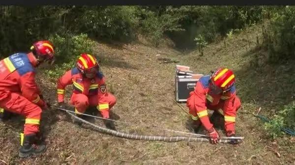 There is a giant snake more than 2 meters long in the village, and ...