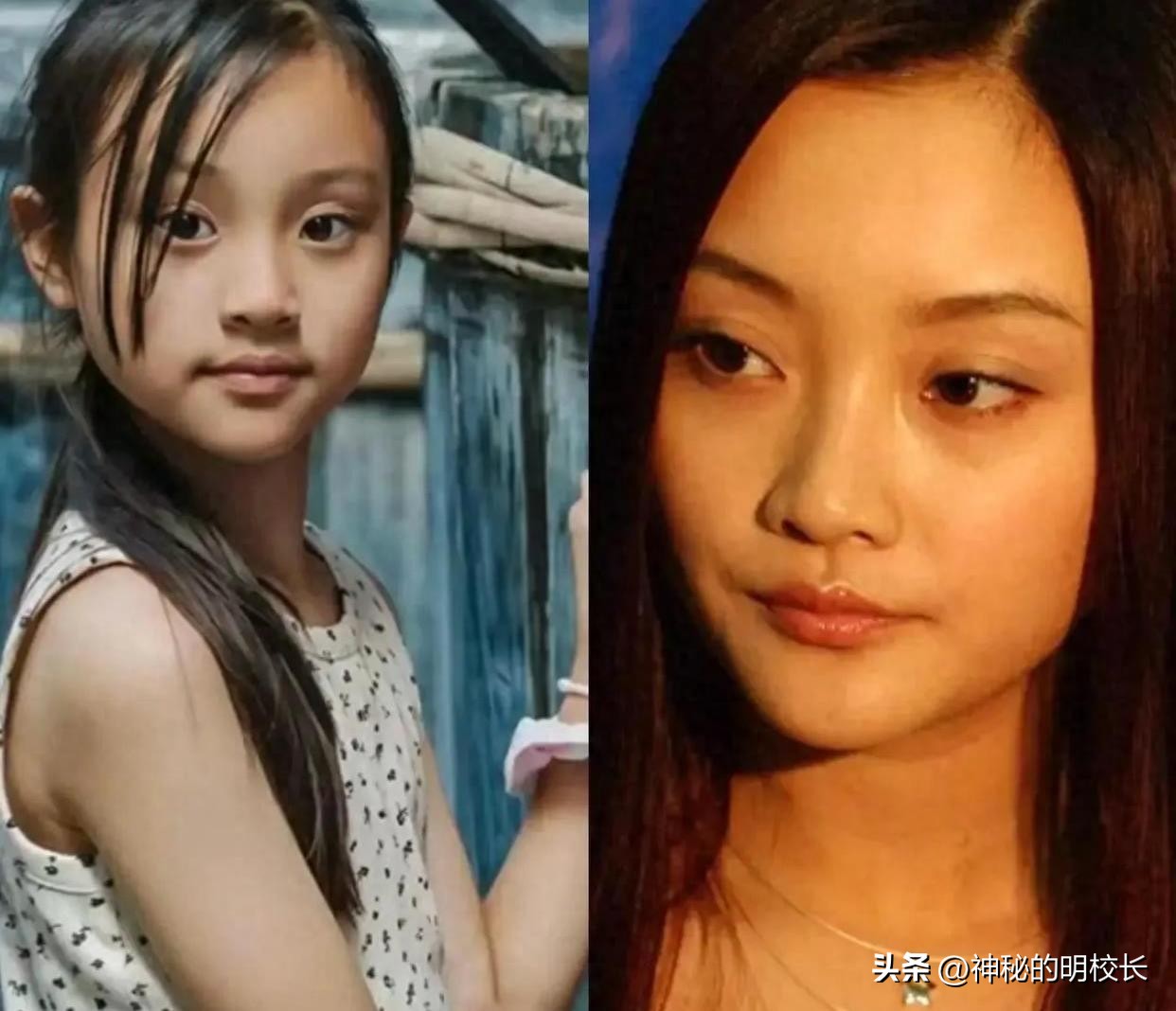 Revealing the surprising similarity between Tianxin and Li Xiaolu - iMedia