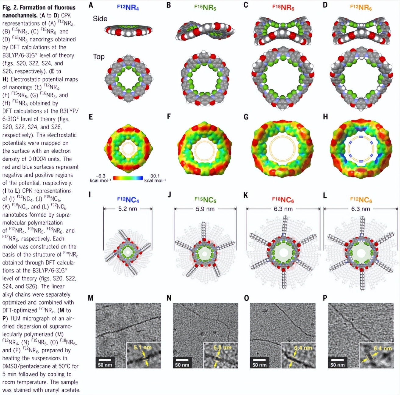Ultrafast permeation of water through nanochannels with dense fluoride ...