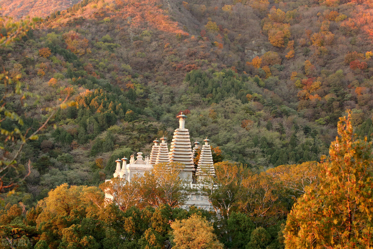 Climbing the Fragrant Mountain again - iNEWS