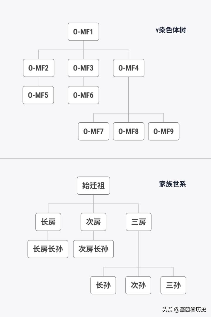 How to restore a family tree with genes? - iMedia