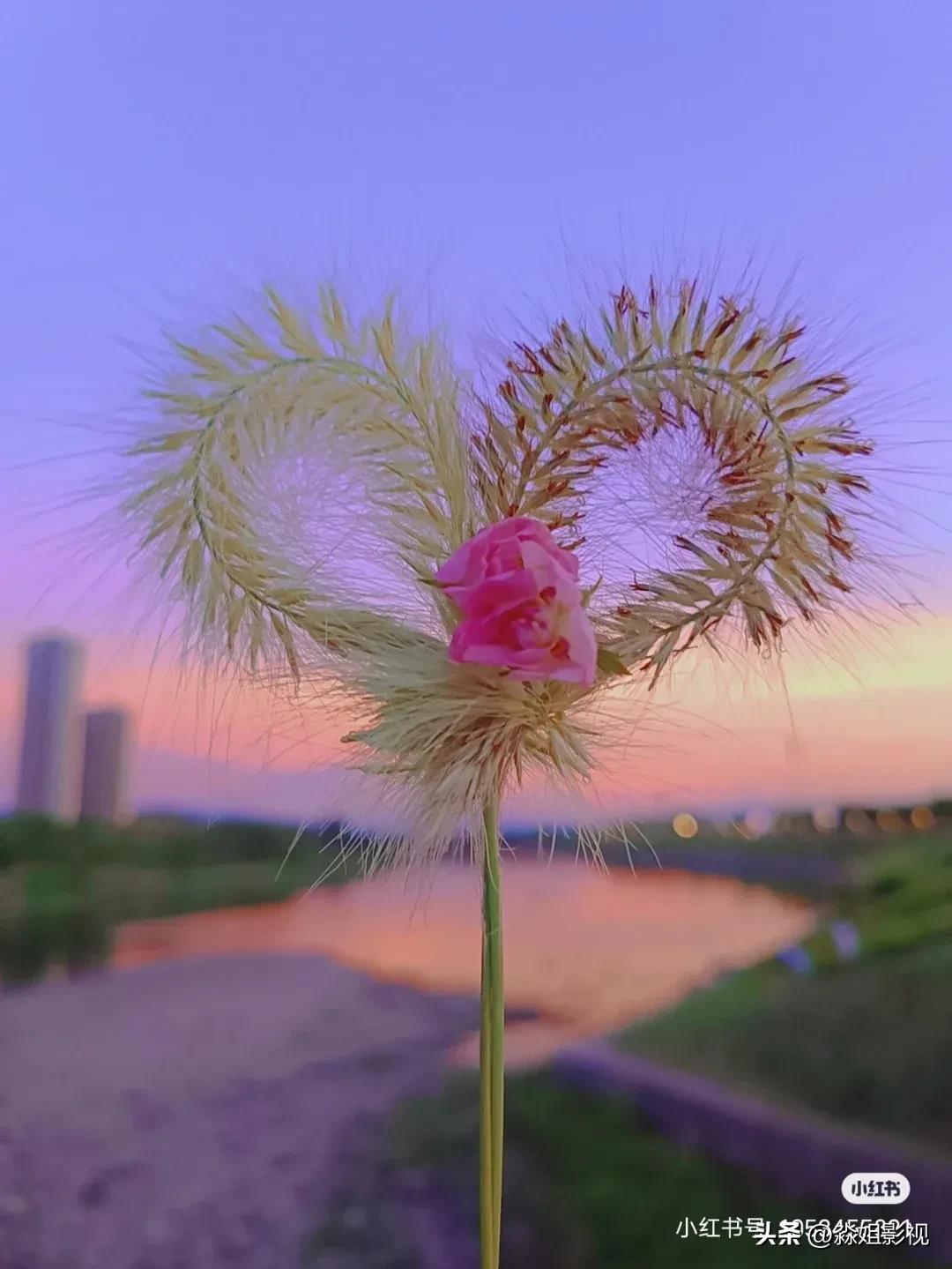 Emotional Quotes, I'm Just a Passerby - iNEWS