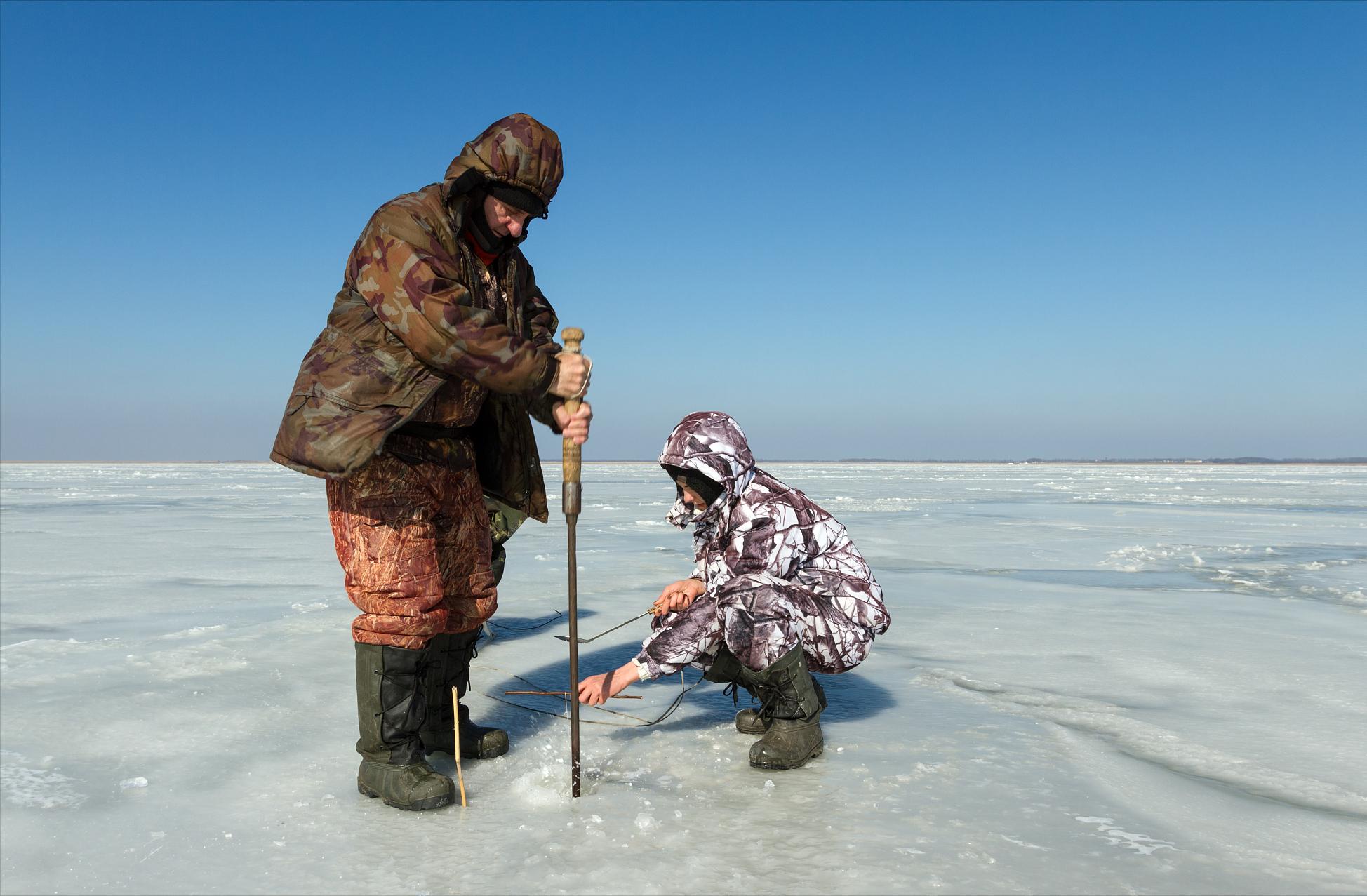 The Mystery of the Arctic: How did the Inuit survive in the polar ...