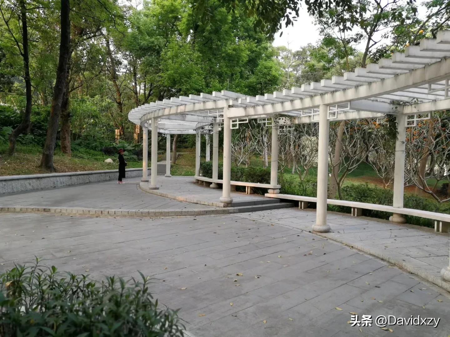 Ma Sicong and his "Homesickness" - iNEWS