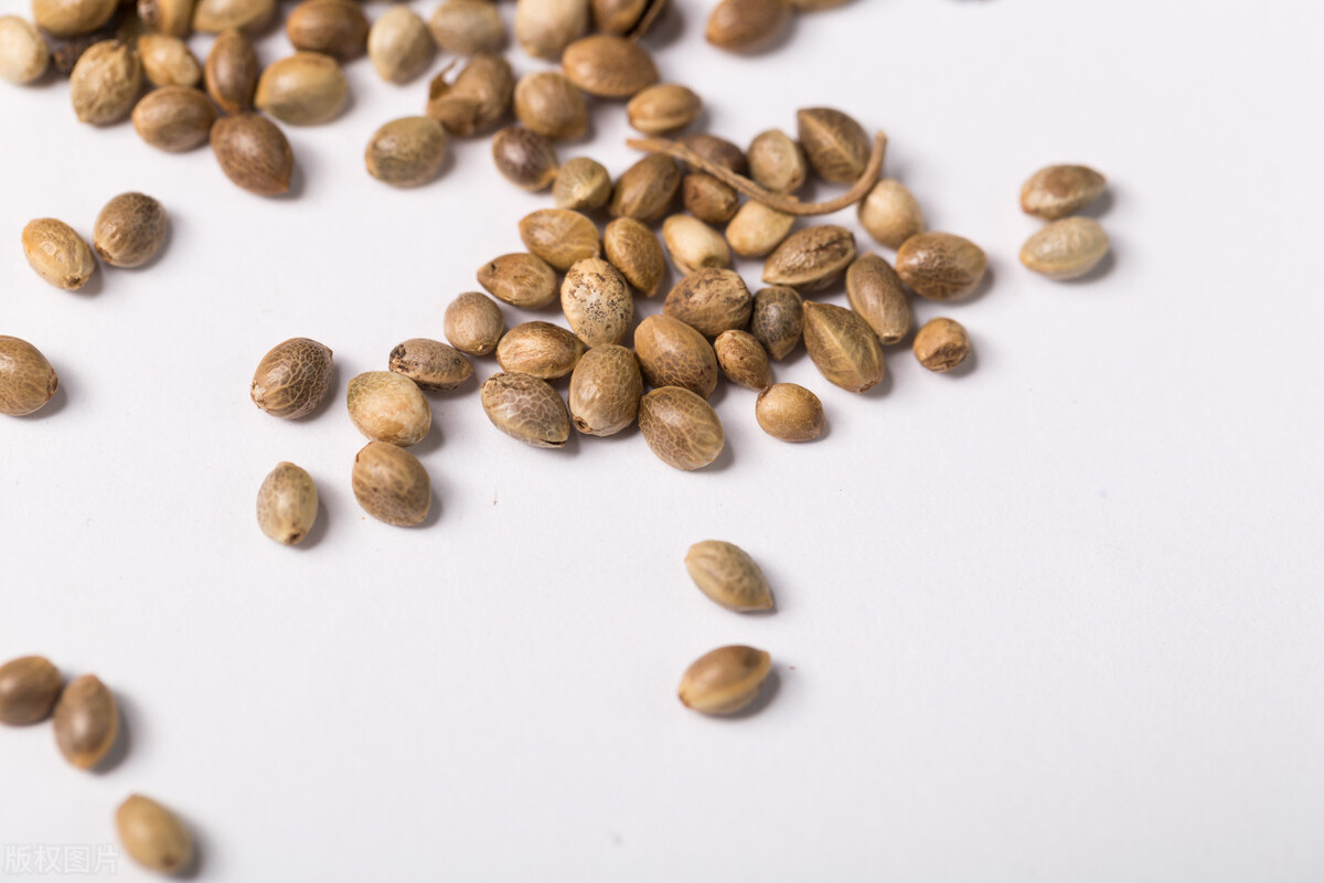 Moisturizing medicine: hemp seed - iMedia