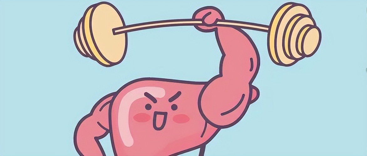 An unexpected "liver nourishing" method: muscle training - iMedia