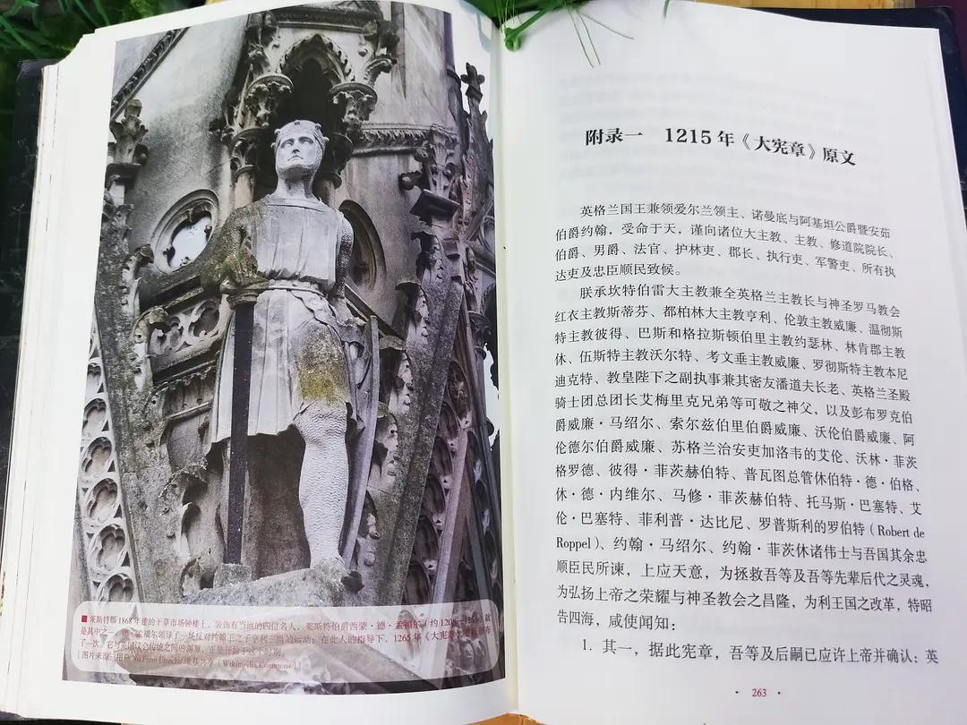 Plantagenet 1215: The beginning of 800 years for the British royal ...