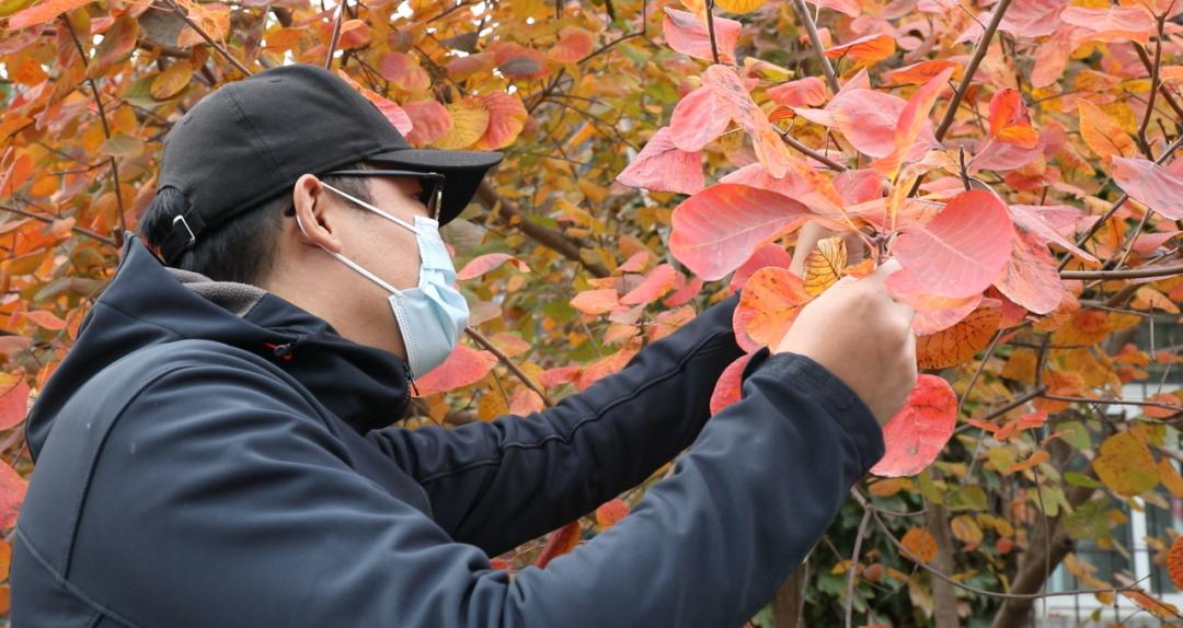 This team protects Fragrant Hills for you → - iNEWS