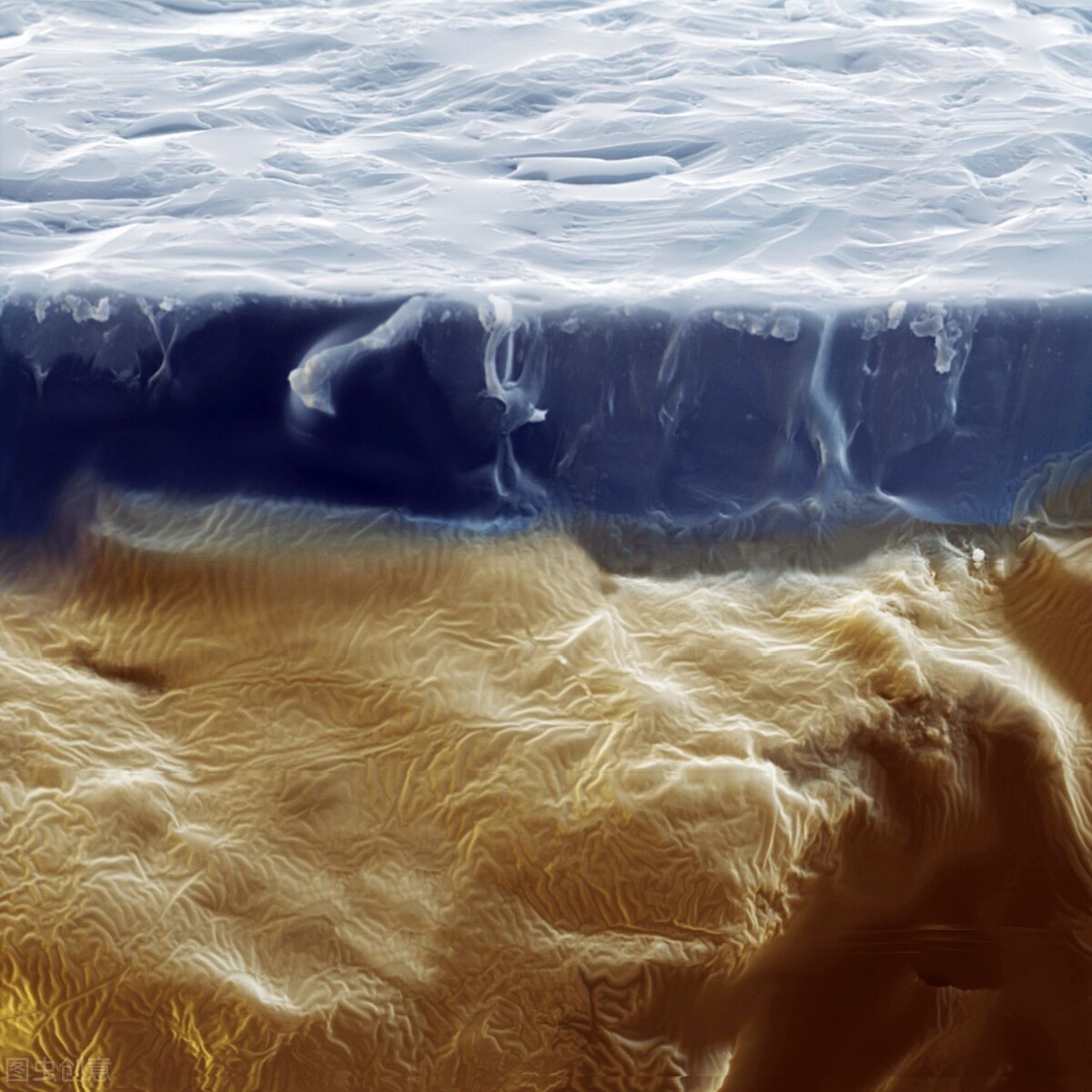 How does an injured bird's beak repair itself? - iNEWS