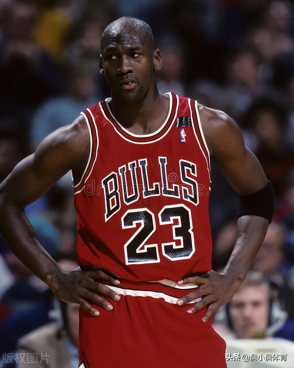 The Road to Counterattack: The Story of Losing the NBA Draft and Being ...