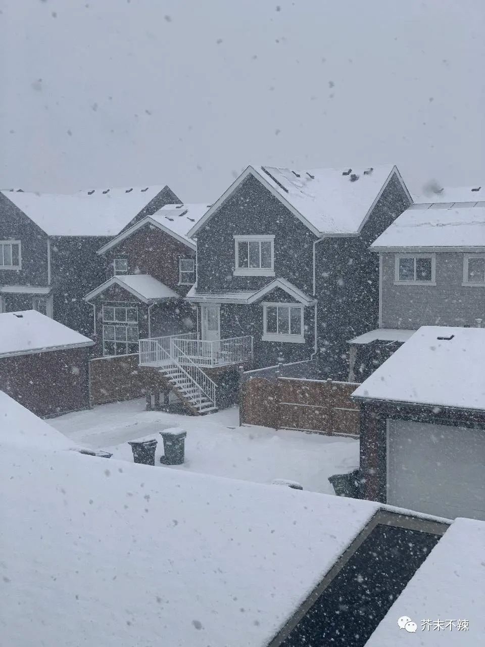 snow in calgary - iNEWS