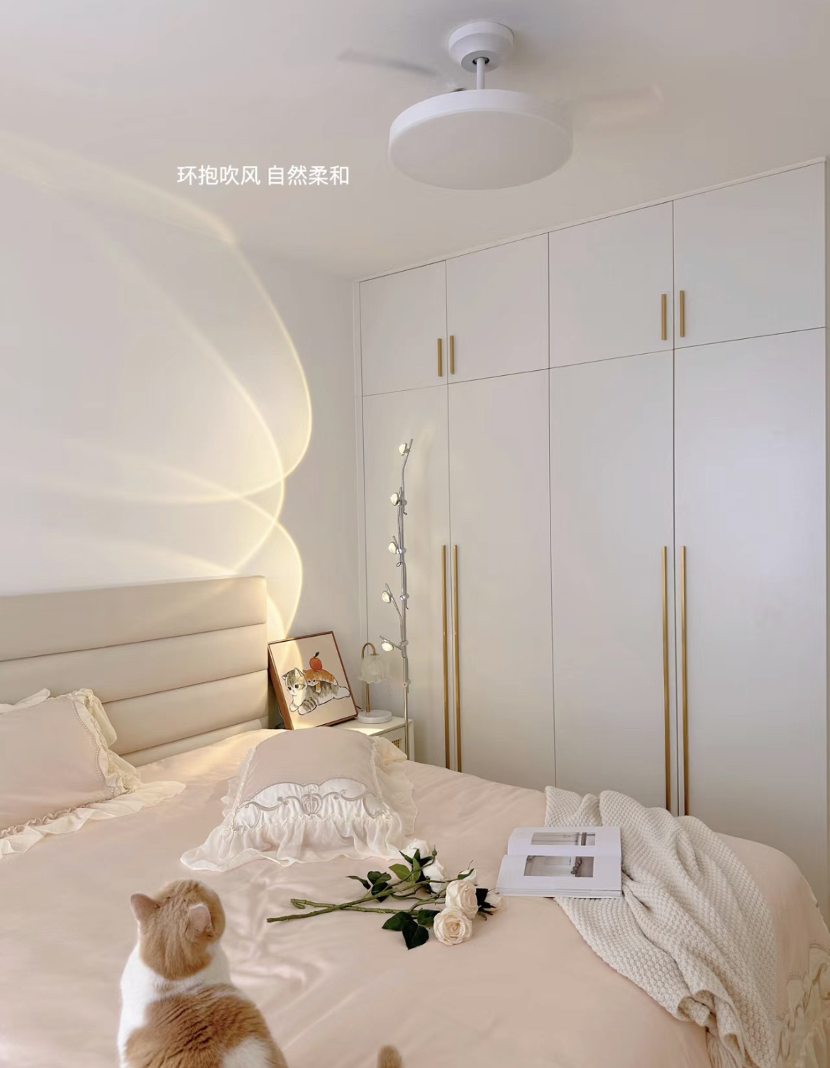 The 9 most underrated electrical appliances, I rushed first! - iMedia