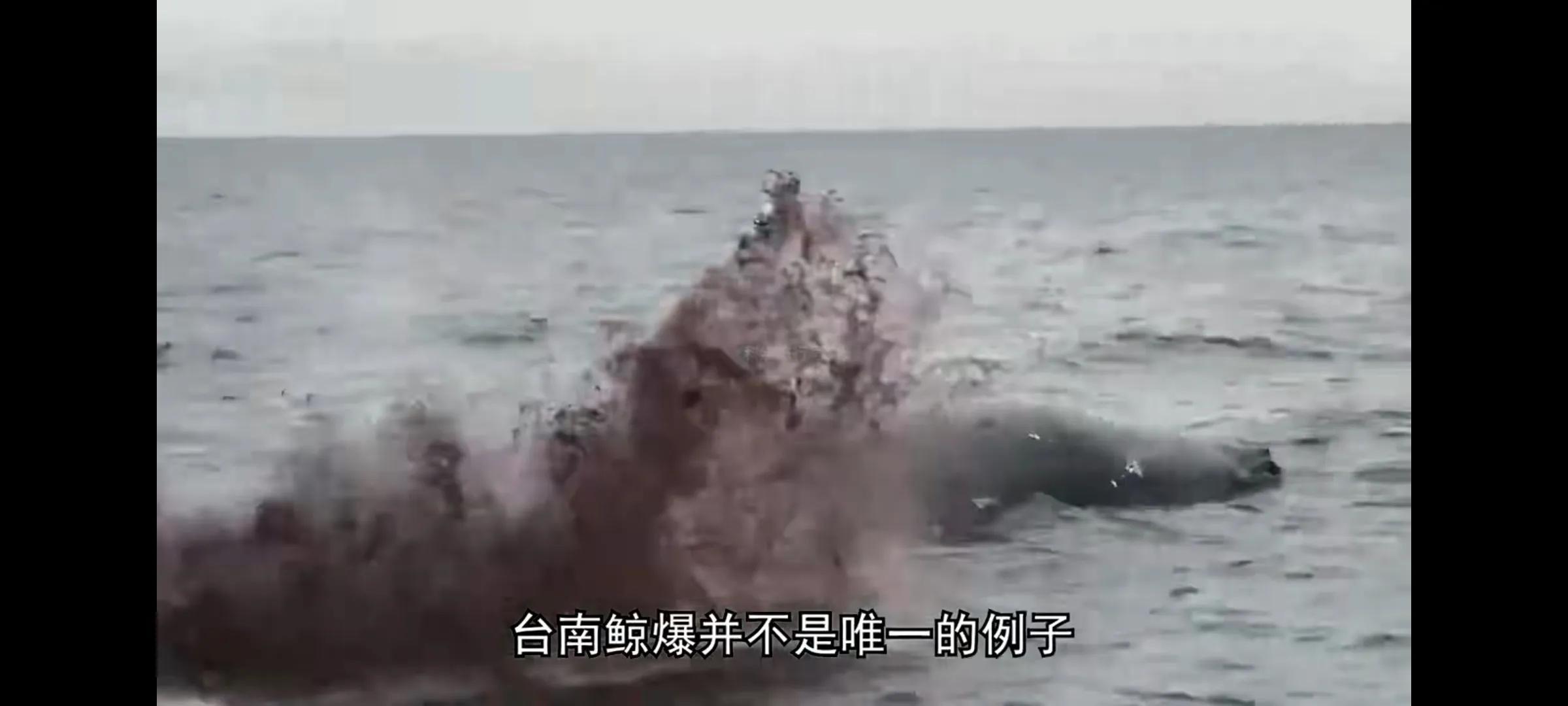 How scary is a whale burst? - iNEWS