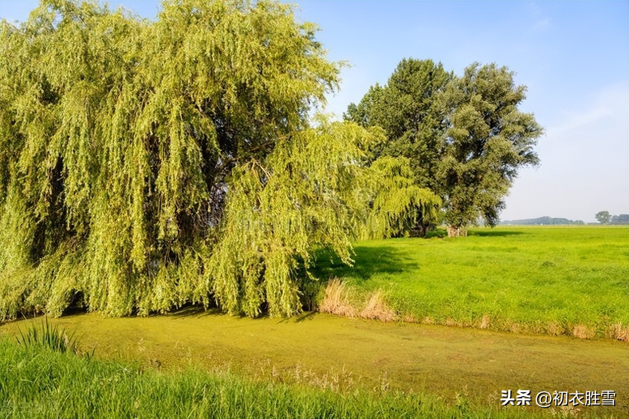 Six Songs of Autumn Willows in Qingli Early Autumn - iNEWS