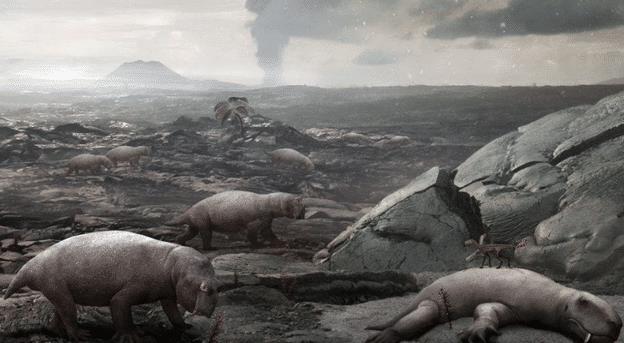 Assuming that humans become extinct, will new intelligent creatures be ...