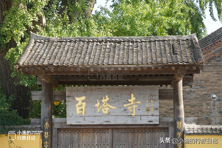 magic!This 1700-year-old ginkgo tree in Qinling Mountains, Xi'an, is a ...
