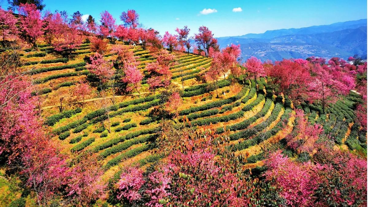 Self-driving must punch in November!These niche travel destinations are ...