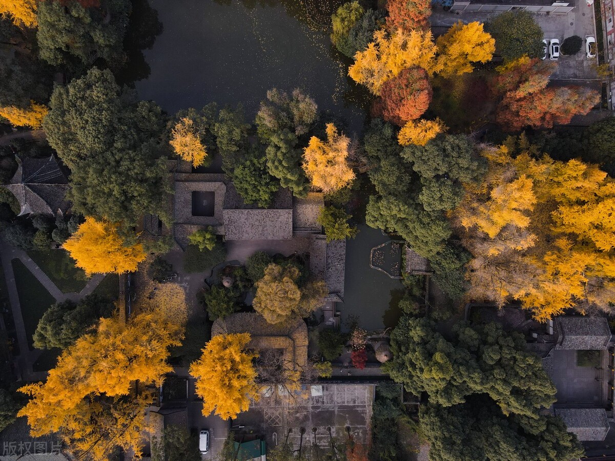 An Analysis of the Complicated Causes of Han Population Growth and ...