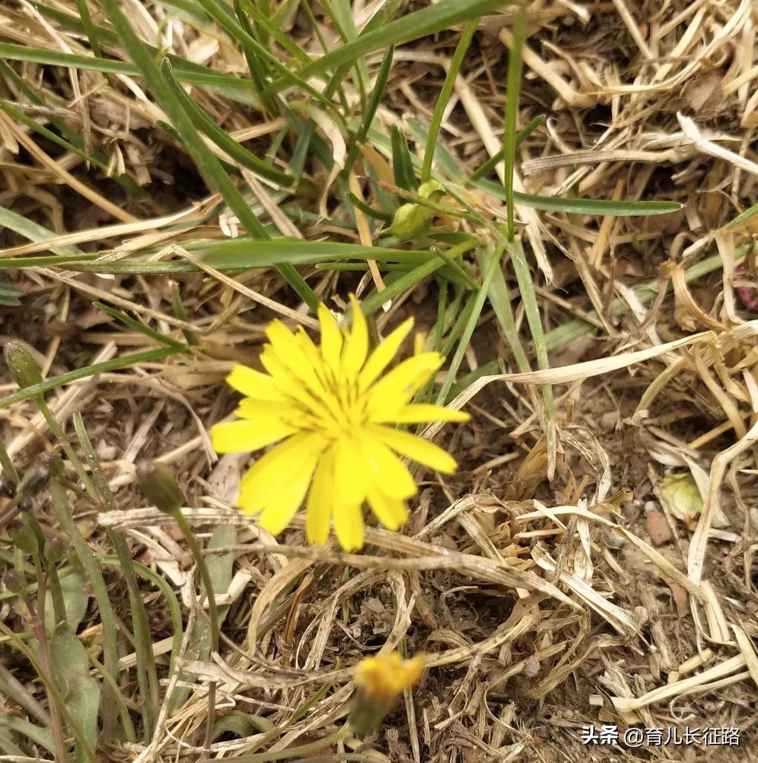 Seeing how Baoma hits the bear child, I can understand it, but I can't bear it - iNEWS