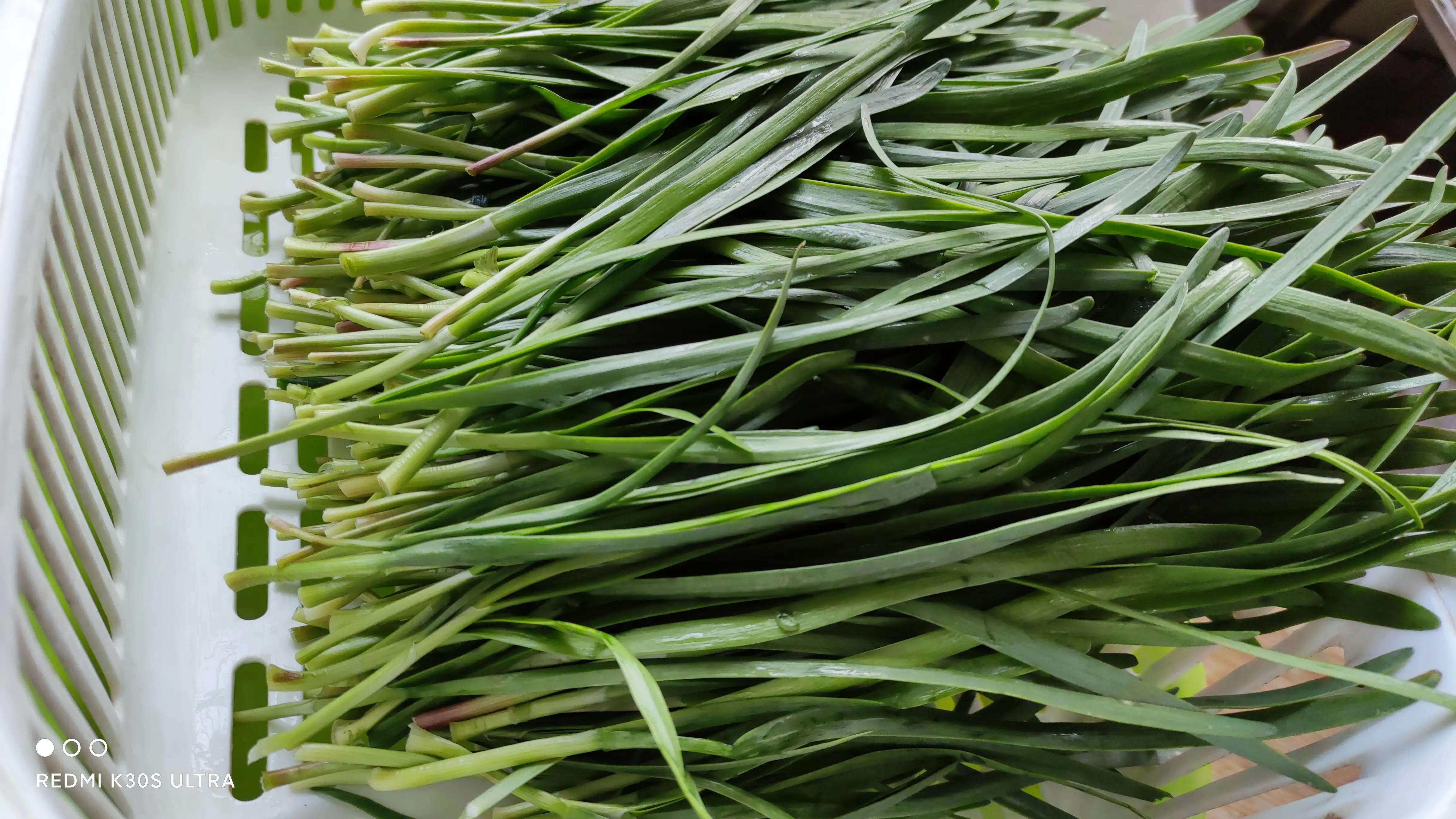Spring Leek Vegetarian Dumplings - iNEWS