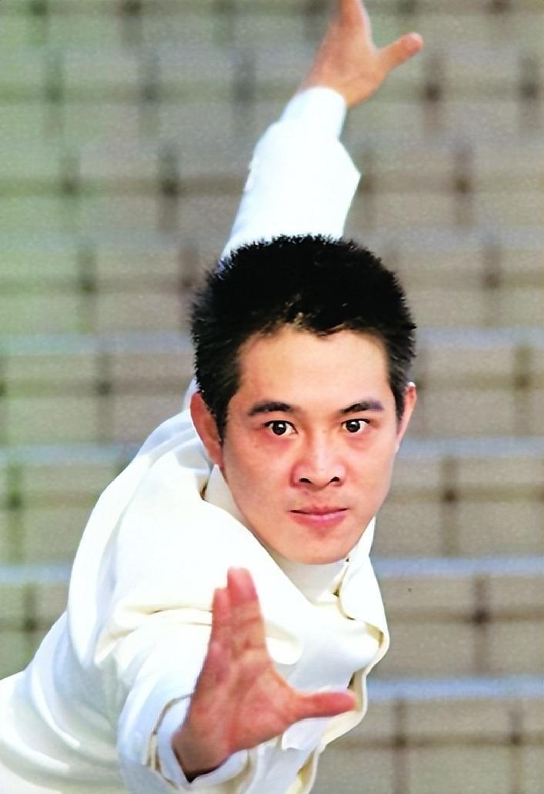 Jet Li: Retired Kung Fu Superstar, Appears to Pursue Agarwood's Wish ...
