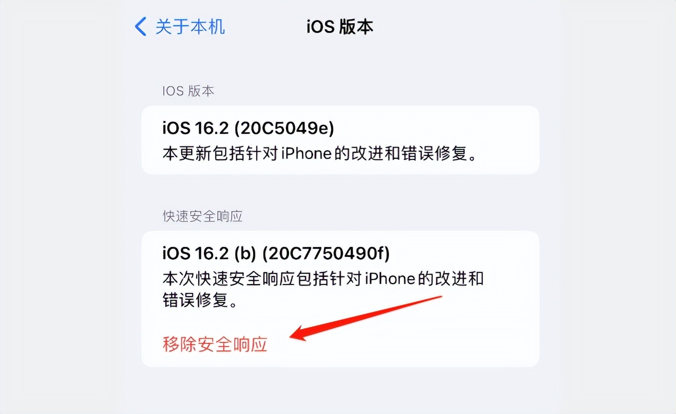 New way to update!iOS 16.2 B security internal test, only takes a few ...