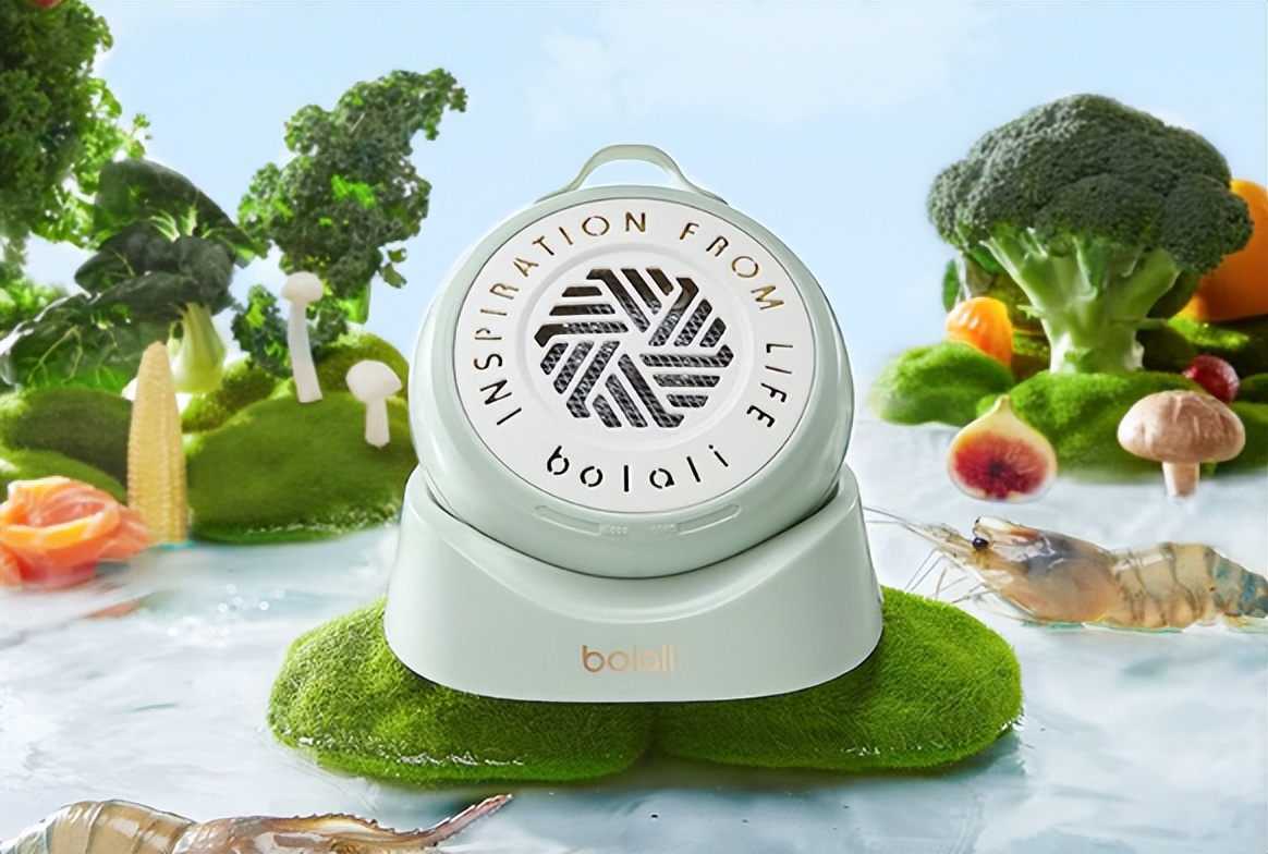 Top ten household fruit and vegetable purifiers to eliminate residual ...