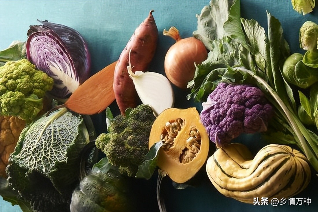Exploring Super Vegetables: A New Choice to Boost Your Health - iNEWS