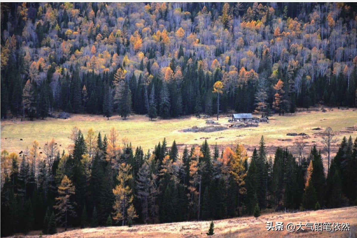 Week 8 Forest Nomad Xianbei - Nomad's Choice (4) - iNEWS