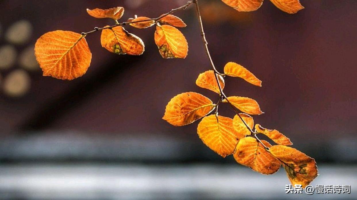 Du Fu's "Eight Songs of Autumn Hing": The imagery is new, the language ...