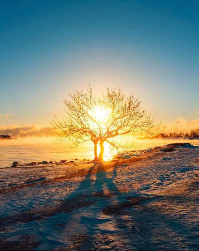 Good Poetry Rewards - iNEWS