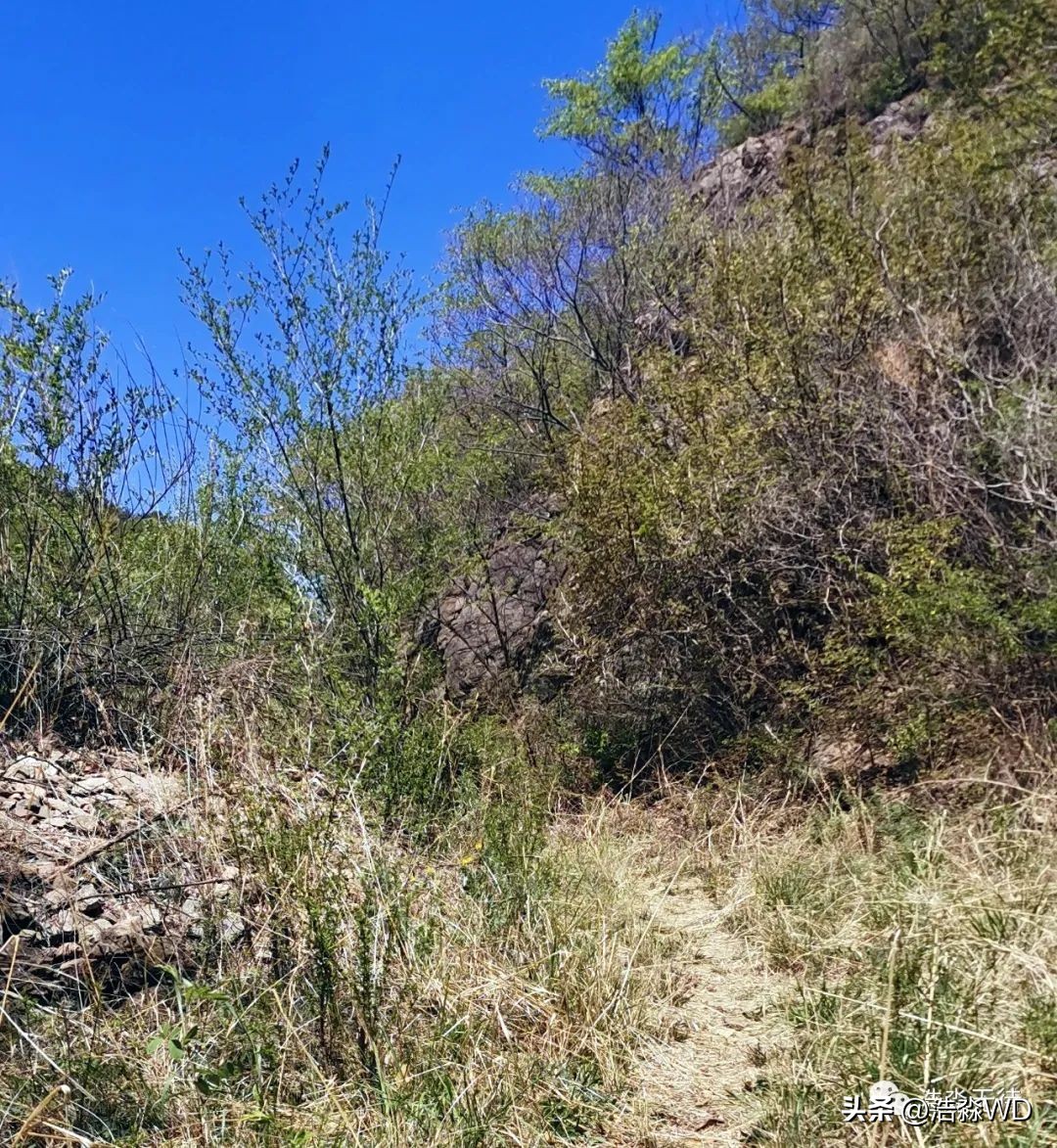 Ancient Road Culture in Beifang Town, Huairou - iNEWS