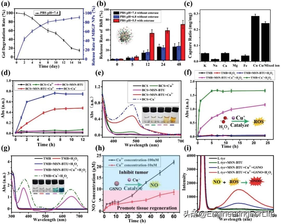 "AFM": Smart nanocomposite hydrogel for malignant melanoma! - iNEWS