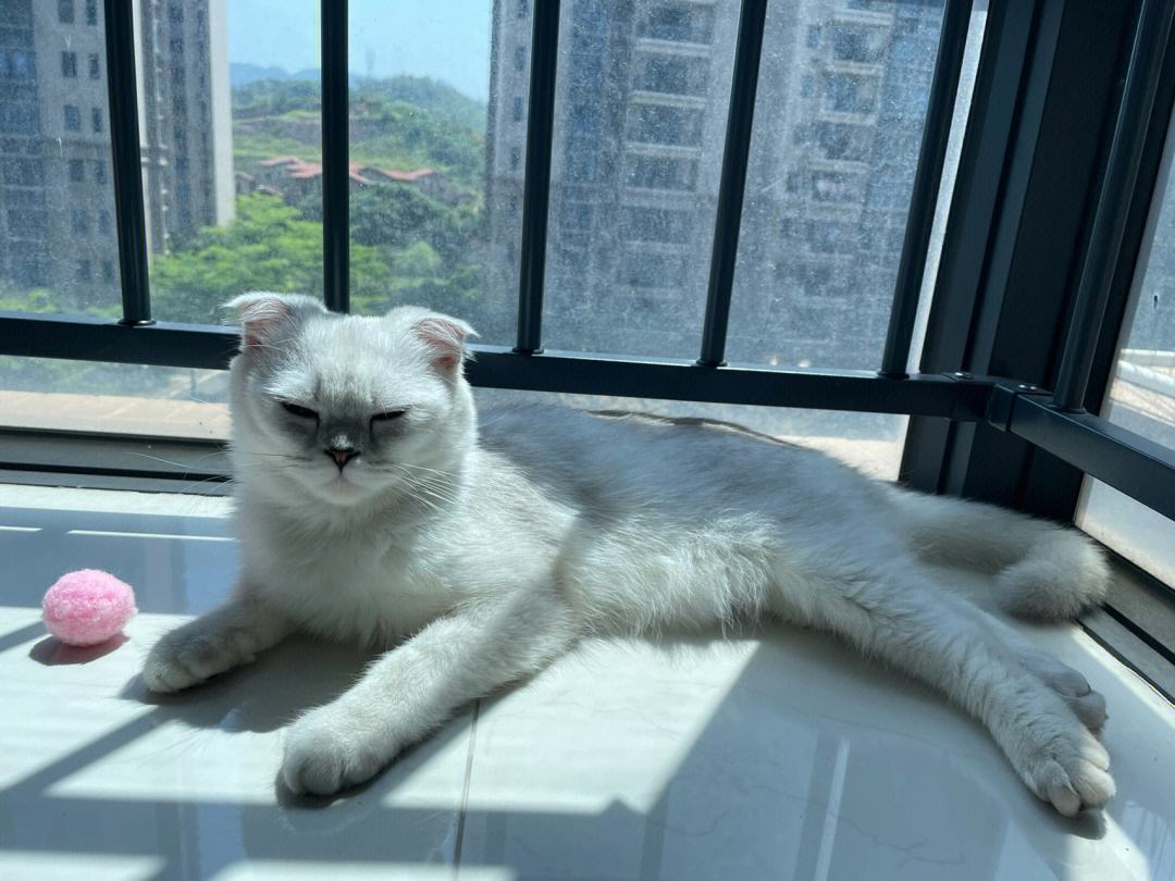 The silver gradient has the following conditions, that is, "calcium ...