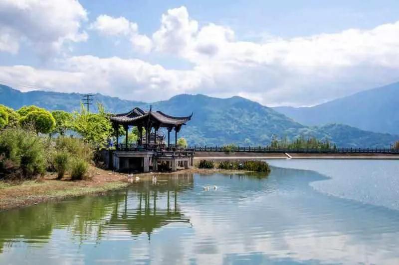 Come to Yingjing "Forest" to breathe Lanjiashan - iNEWS