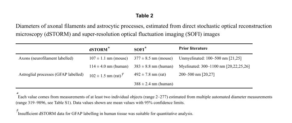 Super-resolution imaging of subcortical white matter using stochastic ...