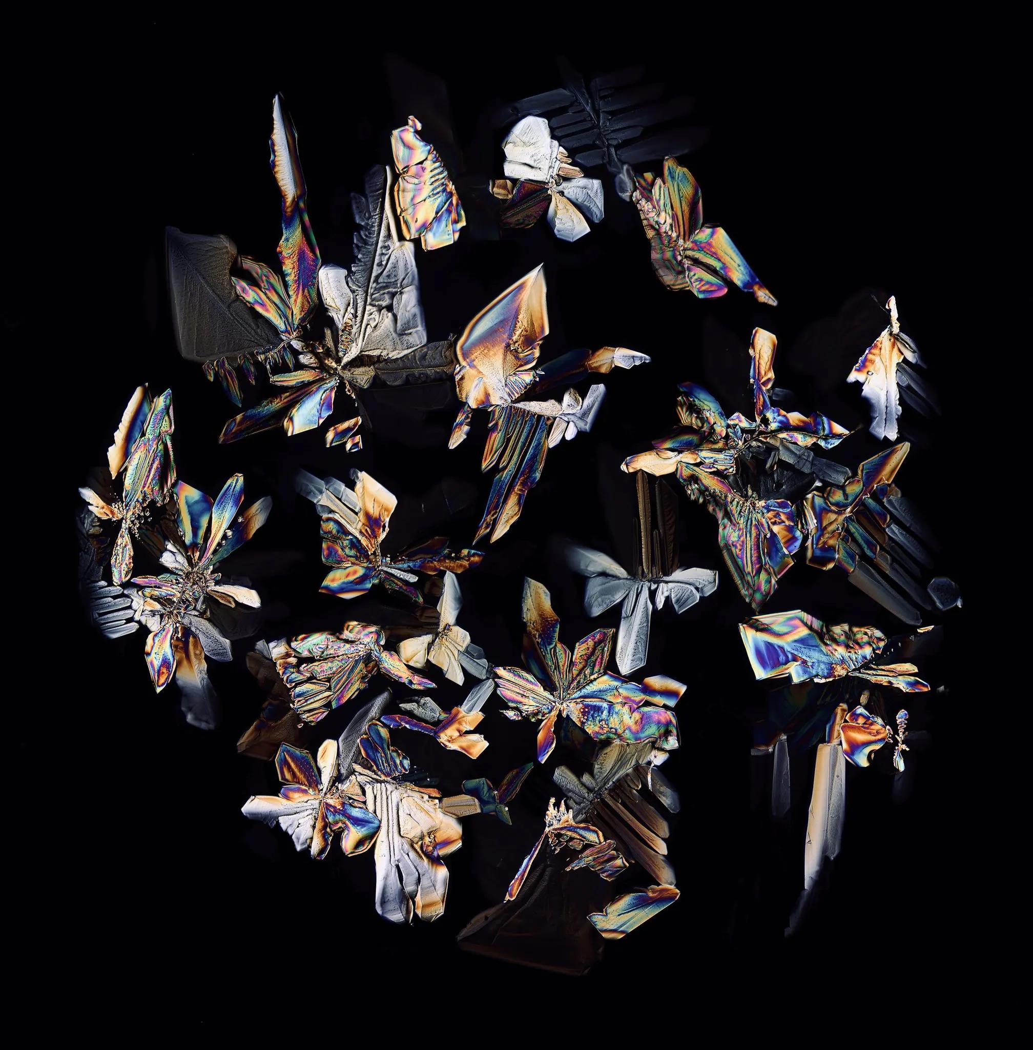 The horror world under the microscope will subvert your cognition after ...